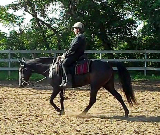 Gaited Western Dressage? | Naturally Gaited