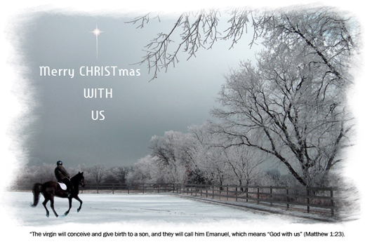 Merry Christmas | Naturally Gaited