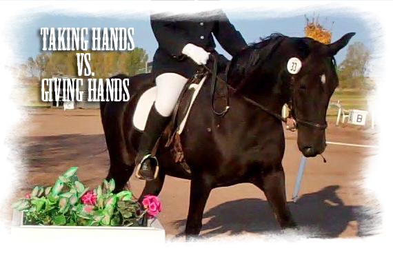 Gaited Dressage: Taking hands vs. giving hands | Naturally Gaited