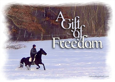 A Gift of Freedom | Naturally Gaited