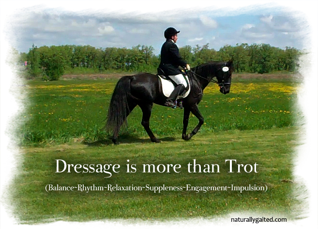 Gaited Dressage at Rocking R Schooling Dressage Show | Naturally Gaited