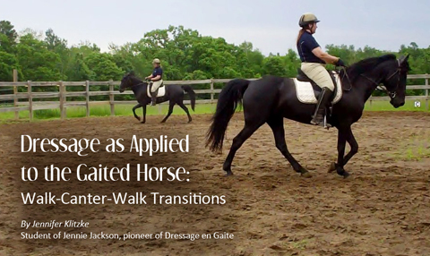 Collected Walk-Canter-Walk Transitions | Naturally Gaited