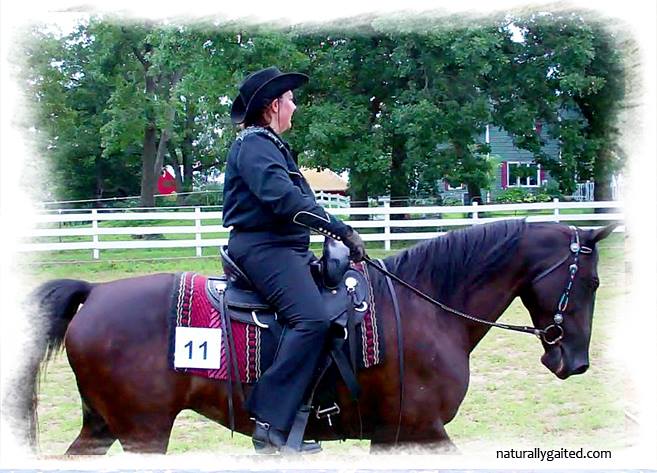 western gaited dressage | Naturally Gaited Horse | Page 2