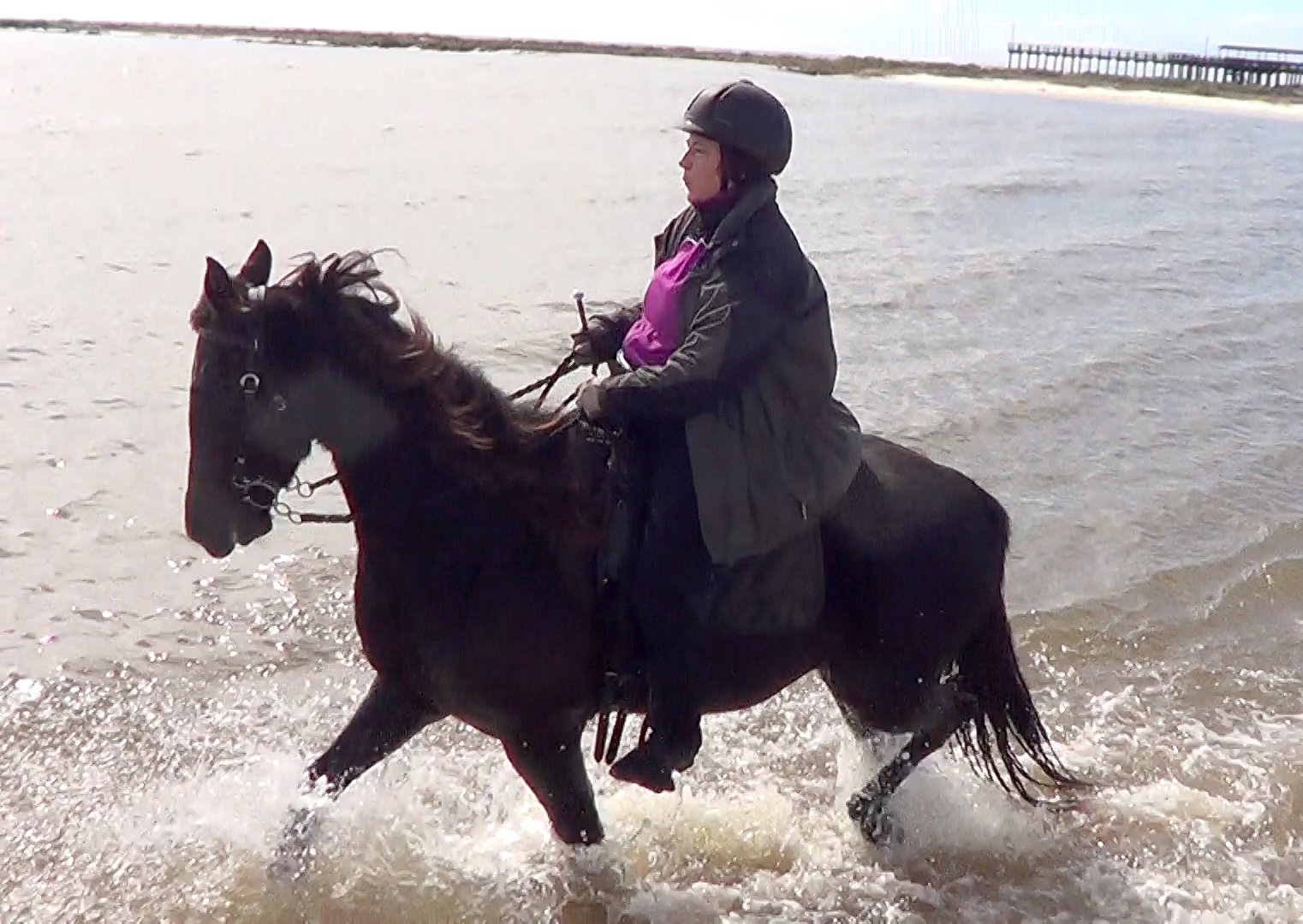 Gaiting the Ocean Coast before Marti Gras | Naturally Gaited