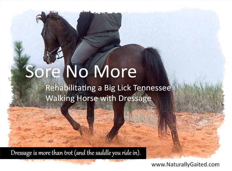 Flat Shod Tennessee Walking Horses