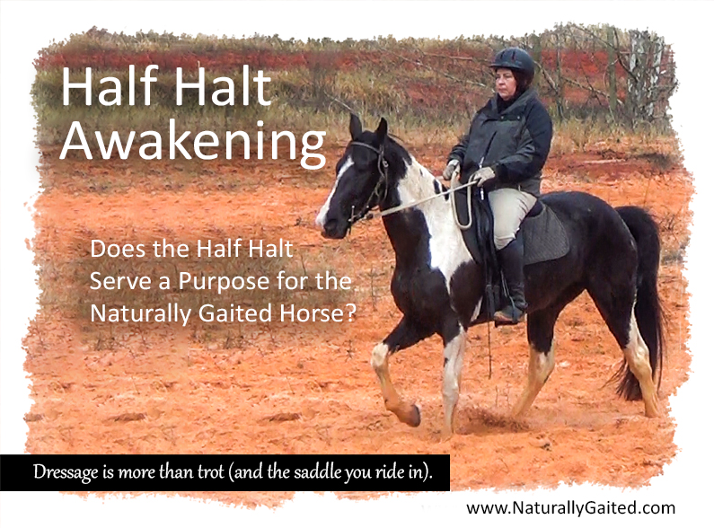 Half Halt Awakening: Does it Serve a Purpose for the Naturally Gaited ...