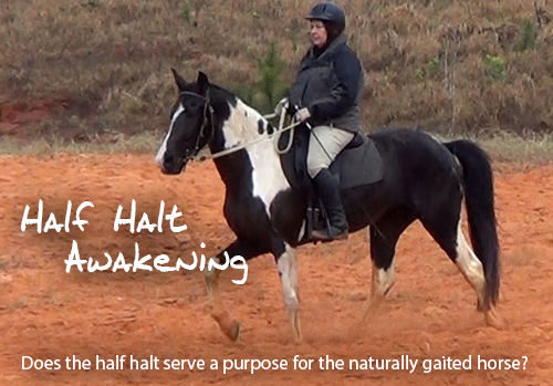 naturally gaited walking horse | Naturally Gaited Horse | Page 5