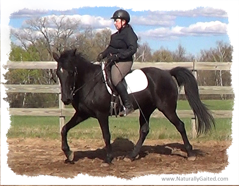Makana shoulder fore | Naturally Gaited