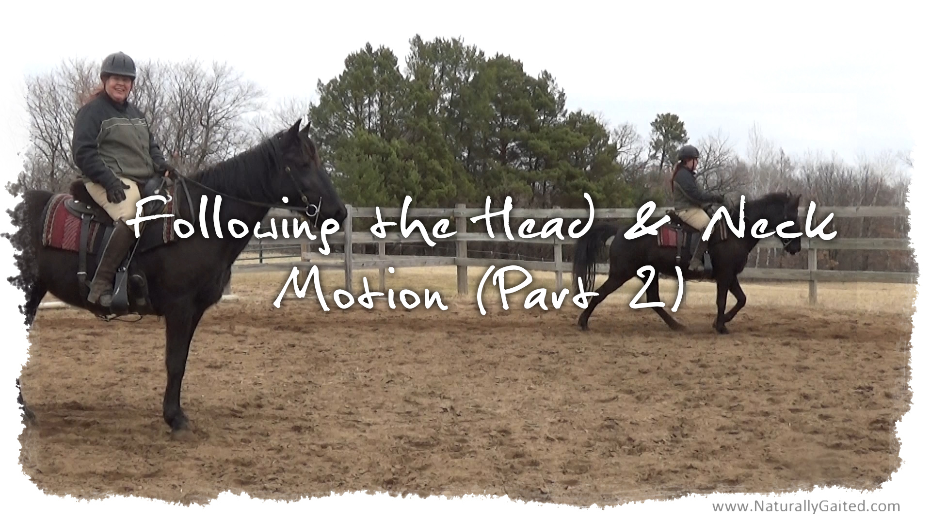 Following the Head and Neck Motion | Naturally Gaited