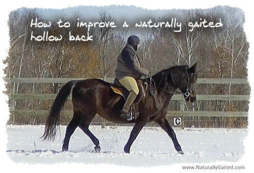 How to improve a naturally gaited hollow back | Naturally Gaited Horse
