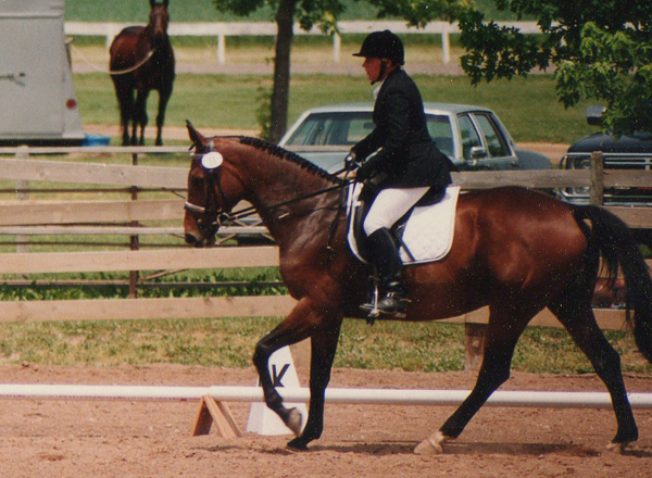 How Dressage Improves Smooth Gaits | Naturally Gaited Horse