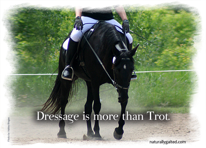 free walk on a long rein | Naturally Gaited