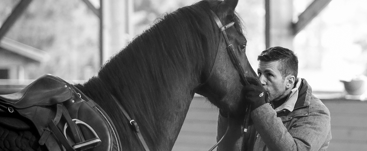 Ecole de Légèreté comes to the Midwest | Naturally Gaited
