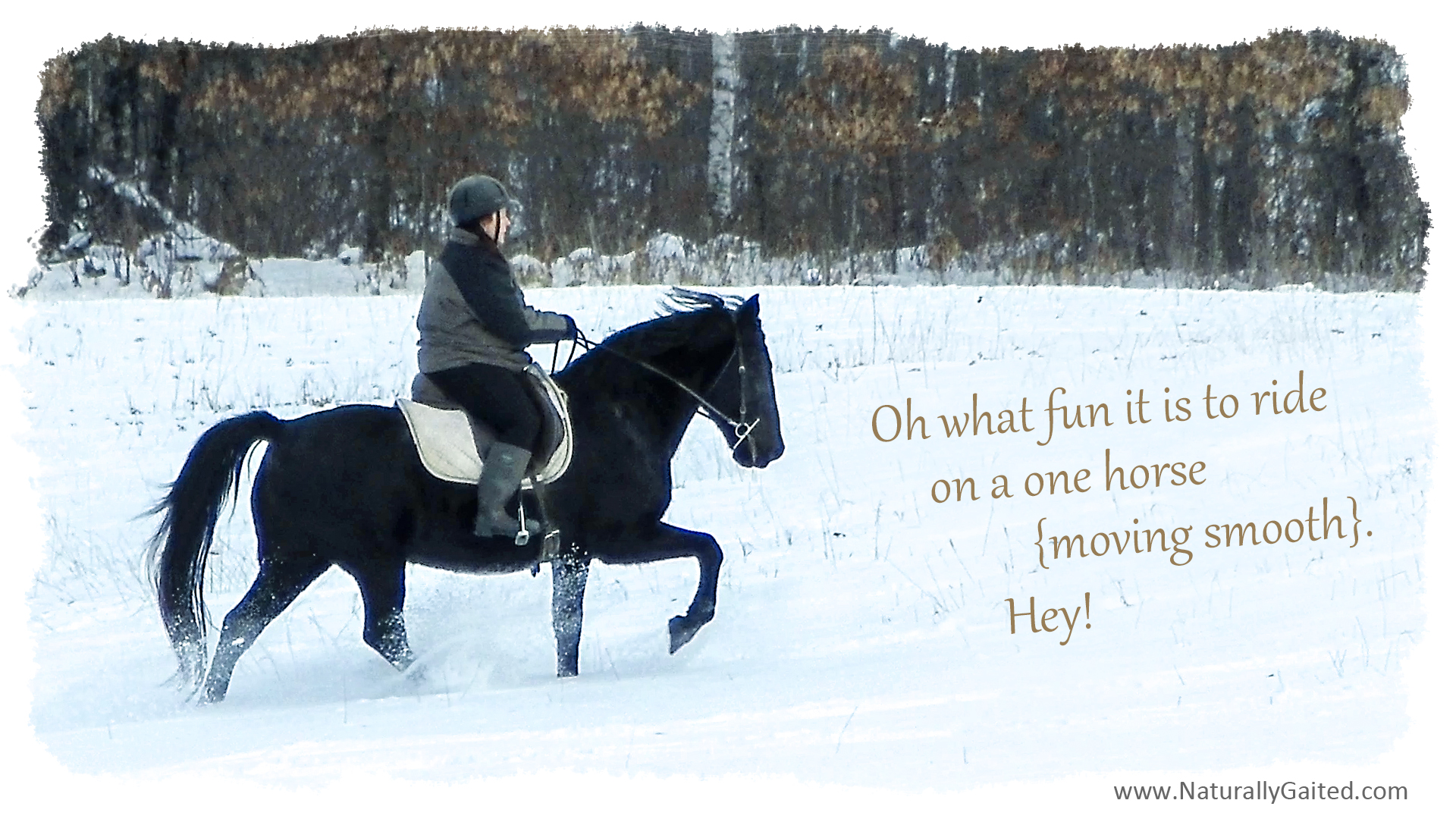 Smoothest All-Terrain Vehicle | Naturally Gaited