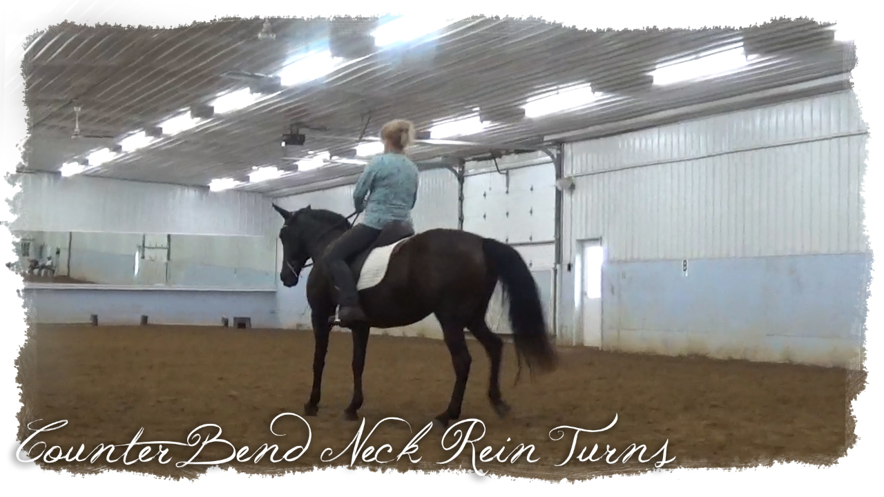 Counter bend neck rein turns | Naturally Gaited