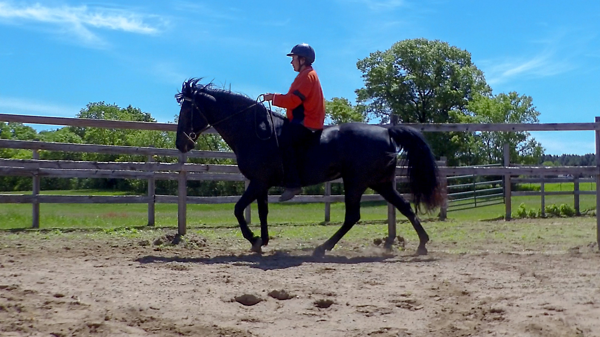 Bareback Riding on a Gaited Horse | Naturally Gaited