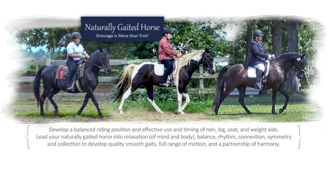 Naturally gaited horses and dressage | Naturally Gaited