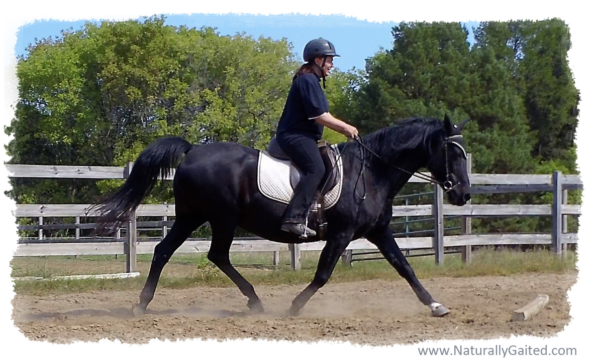 2021-Lady-quality-trot | Naturally Gaited