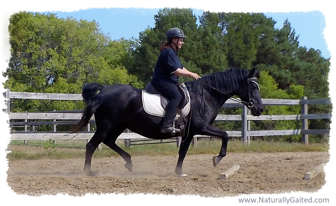 2021-trot-rails | Naturally Gaited
