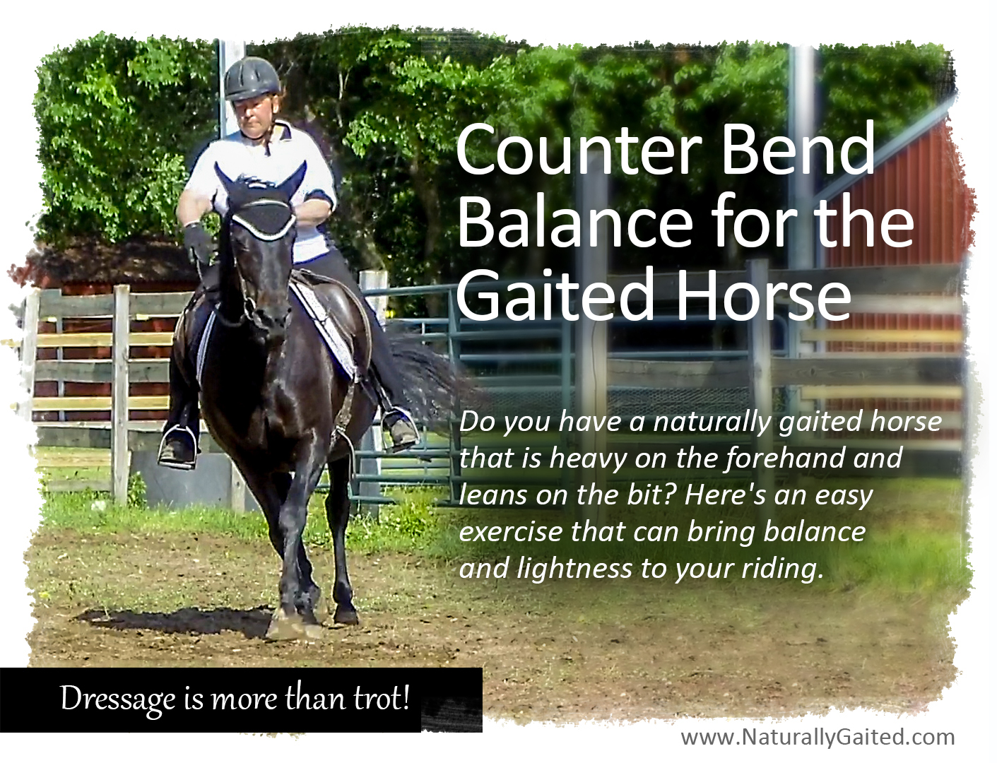 Counter Bend Balance for the Gaited Horse | Naturally Gaited Horse