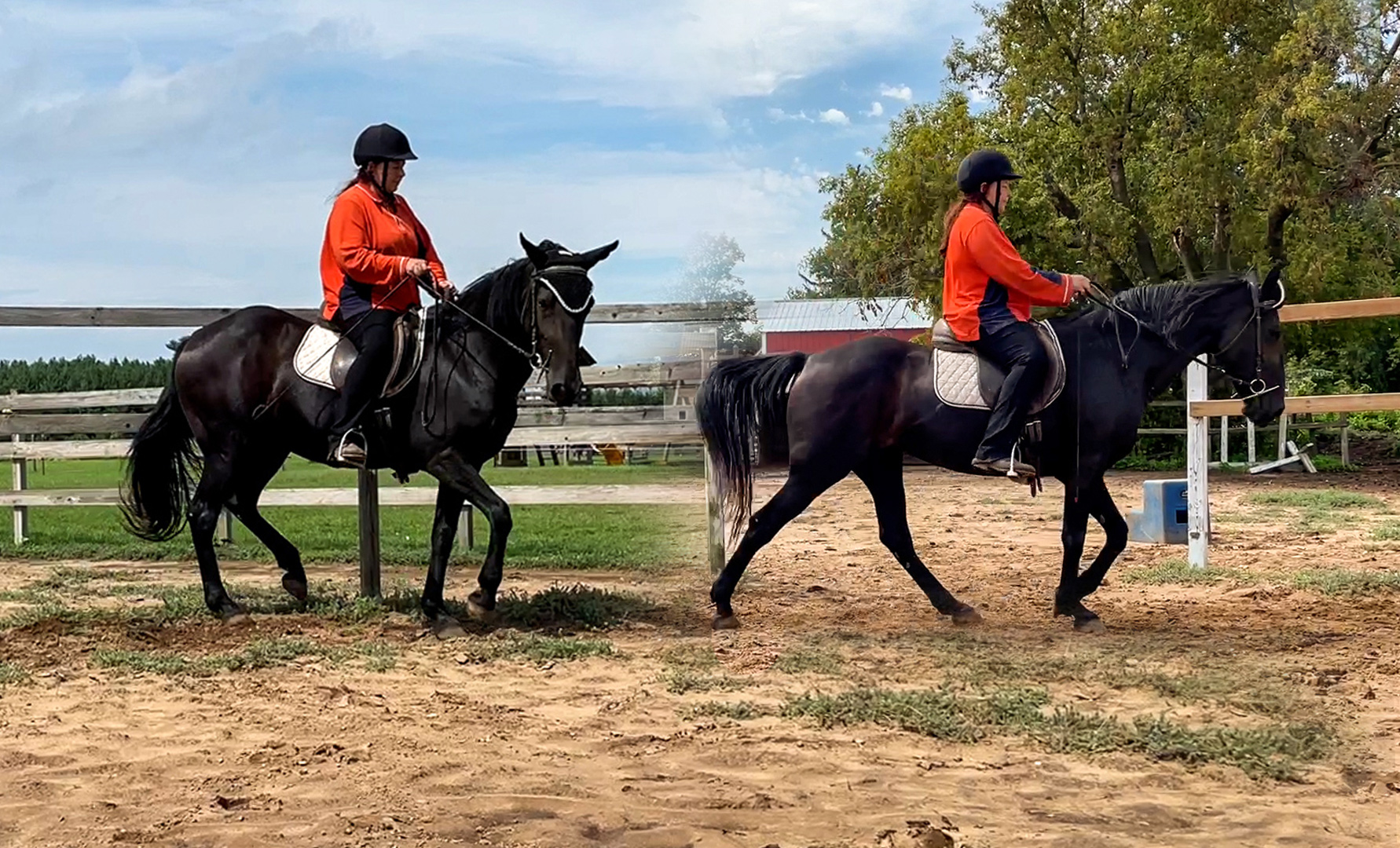 feature-2022-makana-lateral-exercise-flatwalk | Naturally Gaited