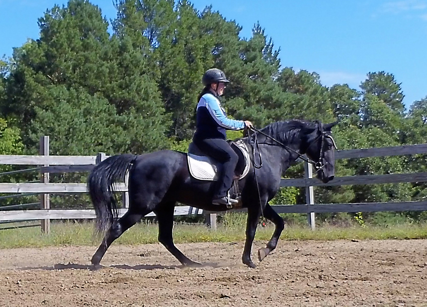 9-5-21-Makana-flat-walk-round | Naturally Gaited