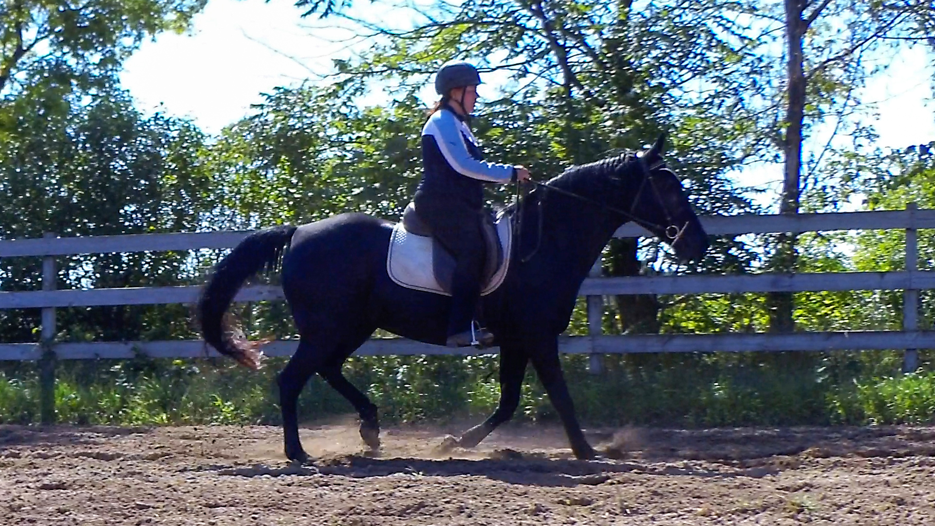 9-5-21-Makana-saddle-rack | Naturally Gaited