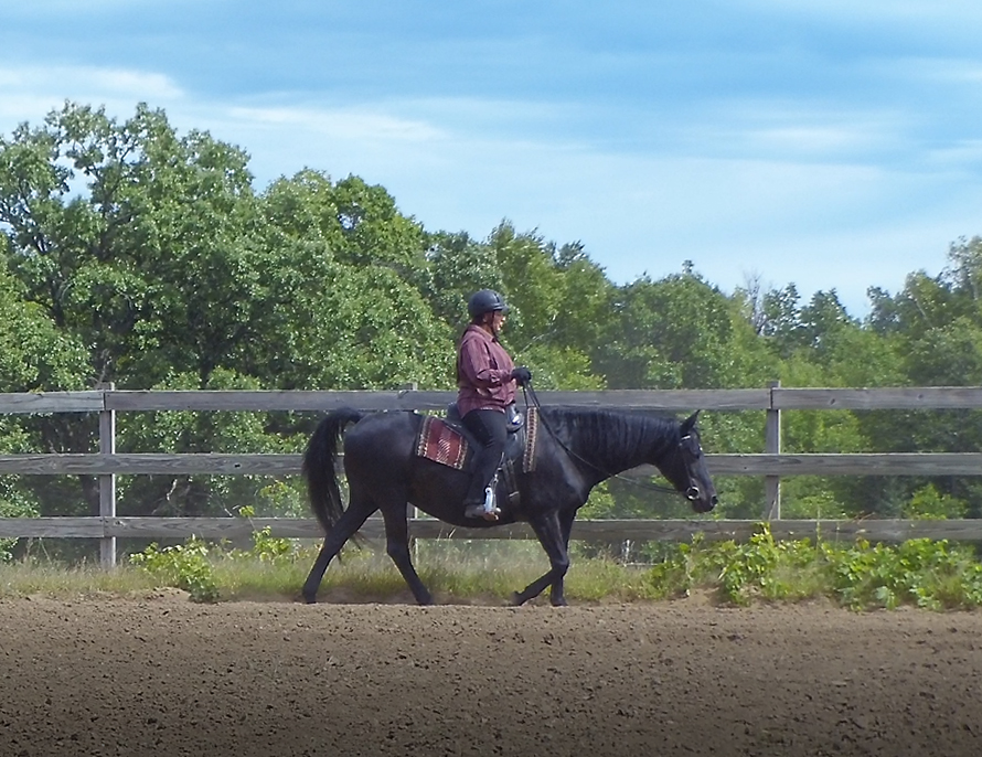 Lady free walk on a long rein | Naturally Gaited