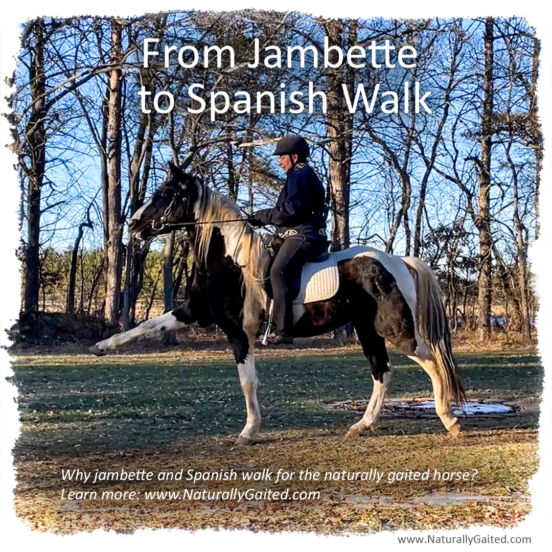 why-jambette-and-spanish-walk-for-the-gaited-horse | Naturally Gaited