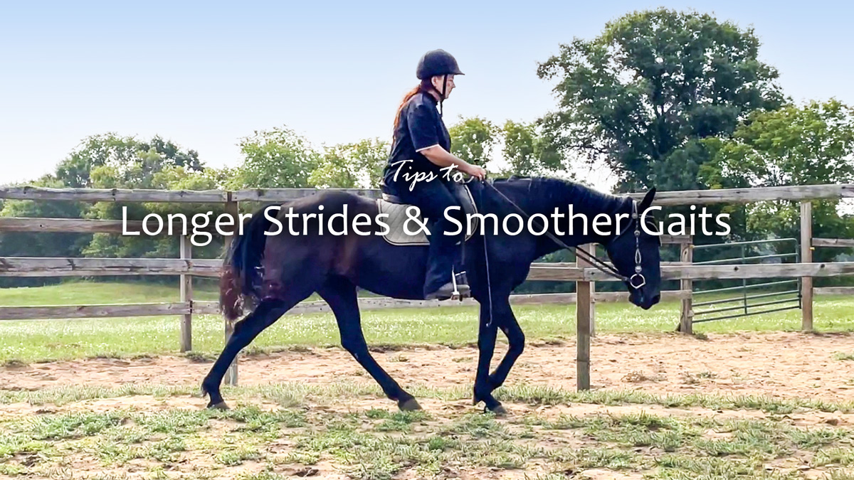 tips to a longer stride and smoother gaits | Naturally Gaited