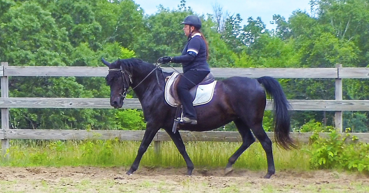 feature-1200×628-9-2022-Lady-fox-trot | Naturally Gaited Horse