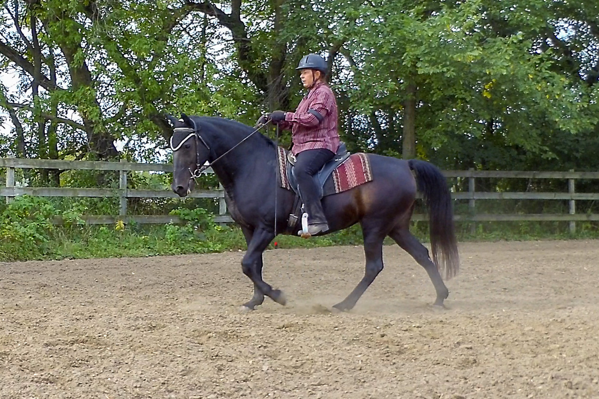 Balanced walk | Naturally Gaited