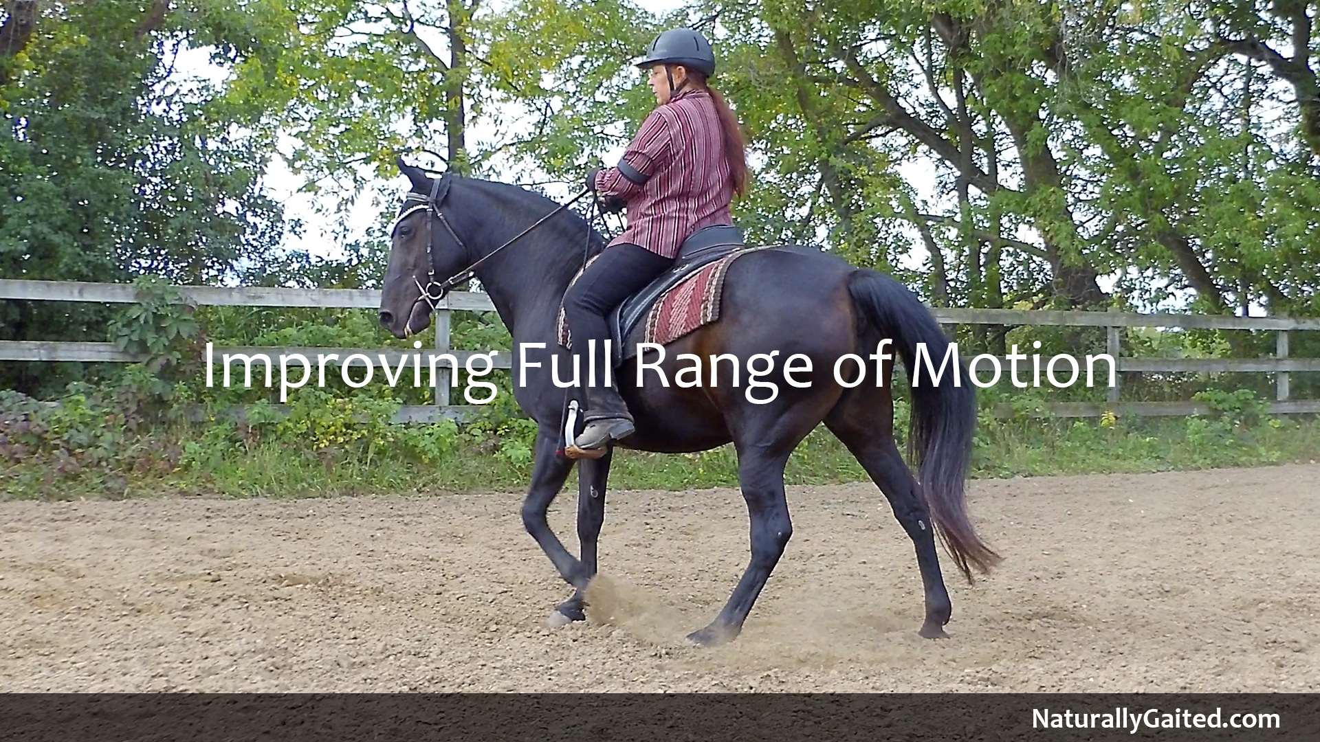 Improving Full Range of Motion | Naturally Gaited