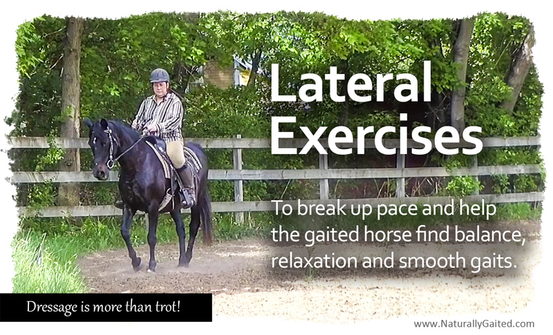 Lateral Exercises for Smooth Gaits | Naturally Gaited